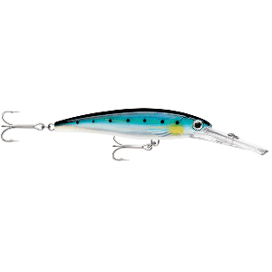 Rapala X-Rap® Magnum® 30 - HD Squid | CWR Wholesale Distribution